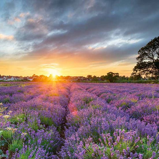 Keystone Property Finders - Norfolk and Suffolk